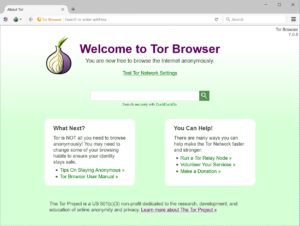 Online Privacy Guide: 17 Actionable Steps to Remain Anonymous